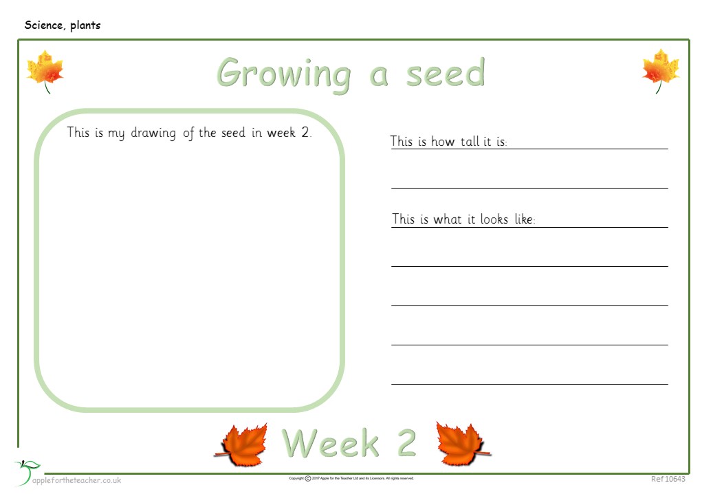 Growing A Seed Journal | Apple for the Teacher
