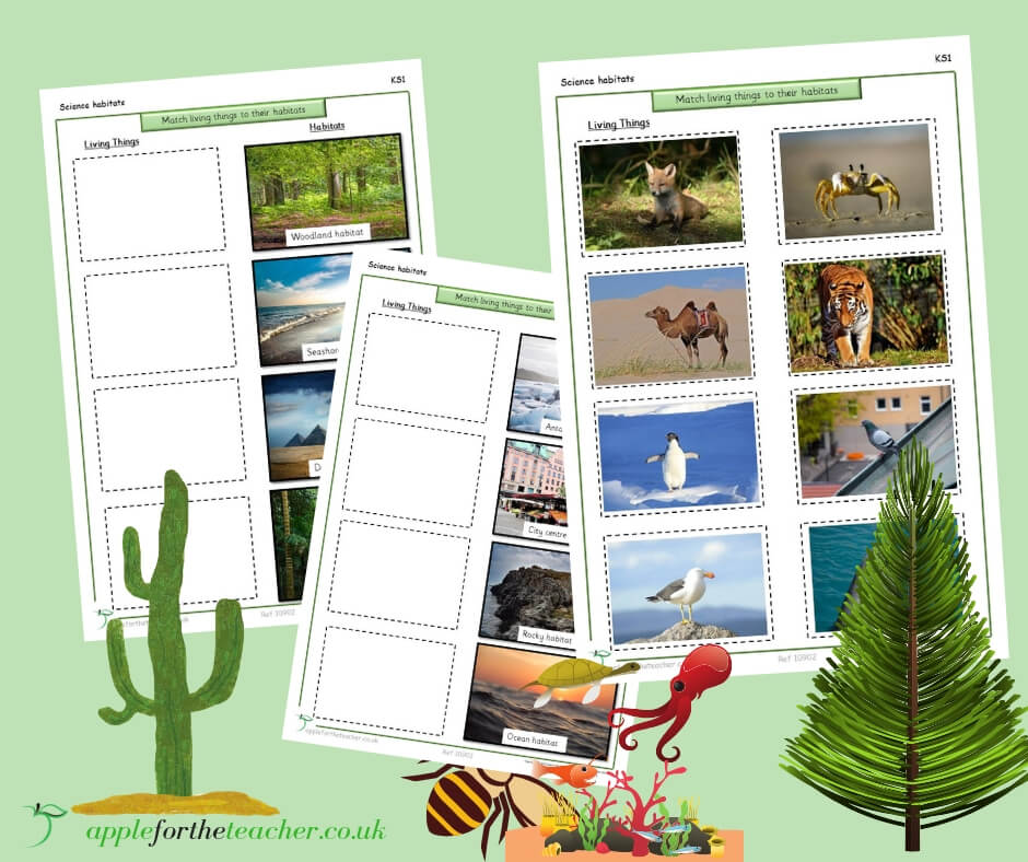 habitats posters ks1